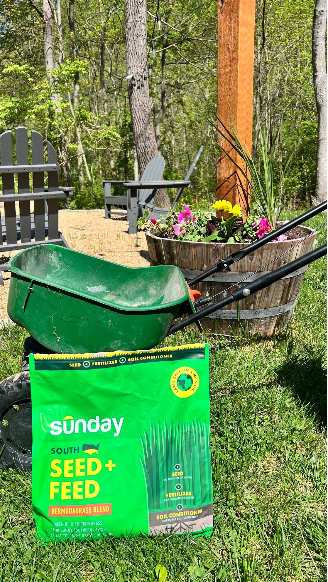 Sunday Lawncare: From Weeds to Wonder | The Gibby Home