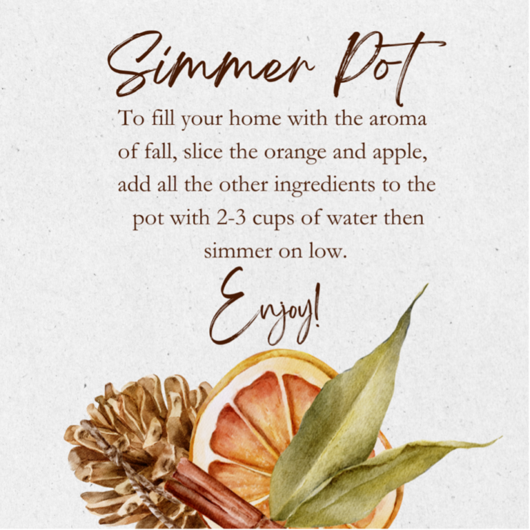 The Perfect Hosting Gift - A Simmer Pot | The Gibby Home